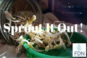 Sprout It Out! - Functional Diagnostic Nutrition