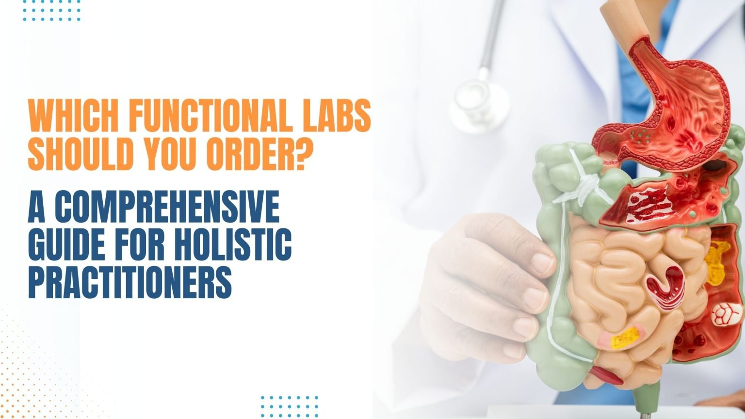 Which Functional Labs Should You Order? A Comprehensive Guide for Holistic Practitioners